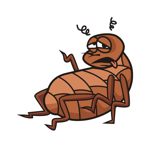 Pest Control And Prevention - Texas Bugs