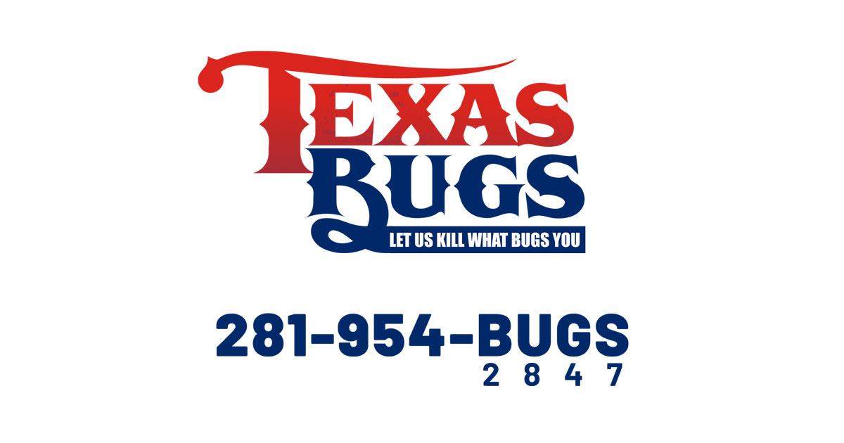 Pest Control And Prevention - Texas Bugs